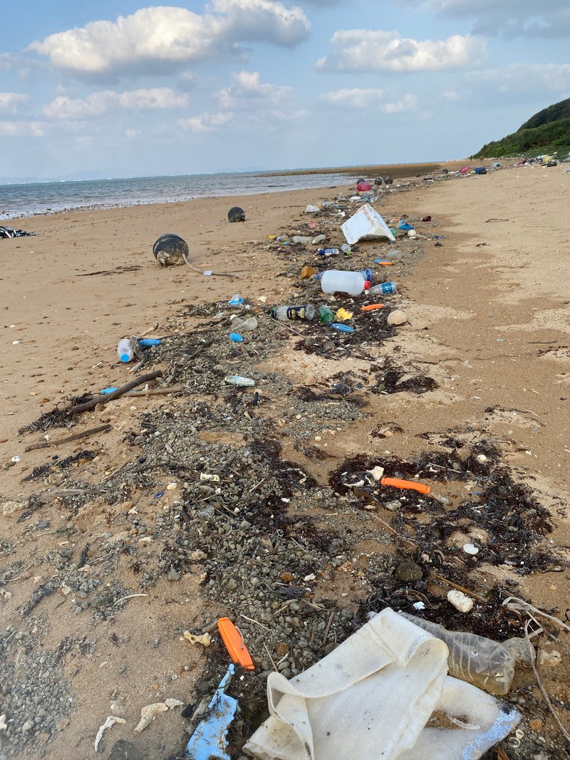 西表島の海の現実｜だいき＠Daiki`s note｜note