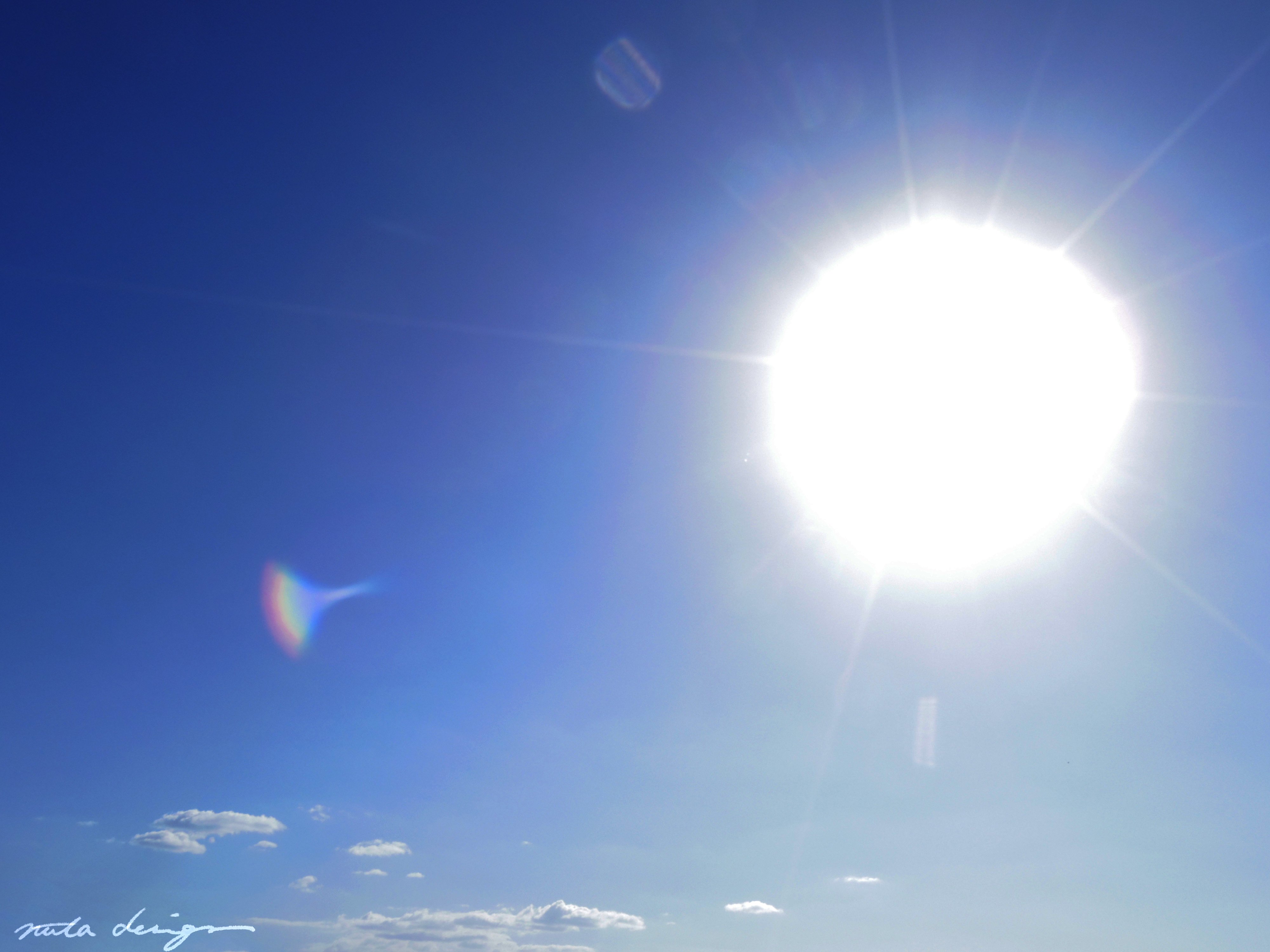 あらあら｜nuta design