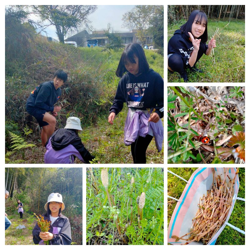 わが家は「春の嵐」｜webkio｜note