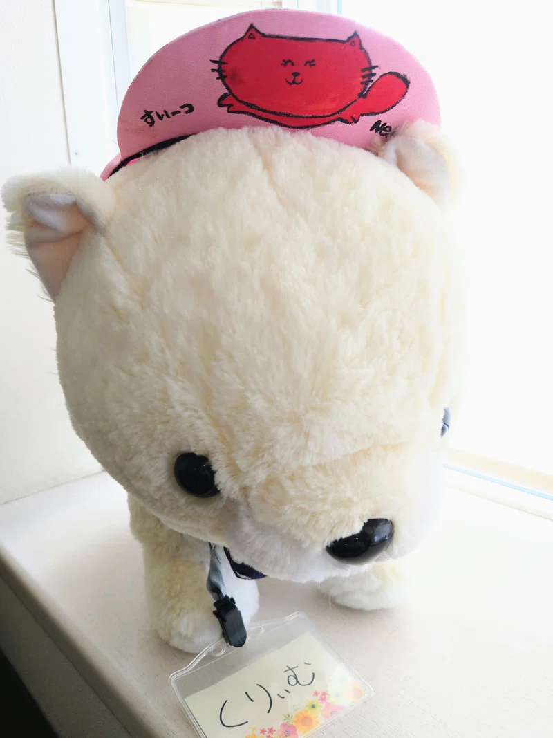 NekoNekoキャップ🧢｜NekoNeko@お菓子屋さん｜note