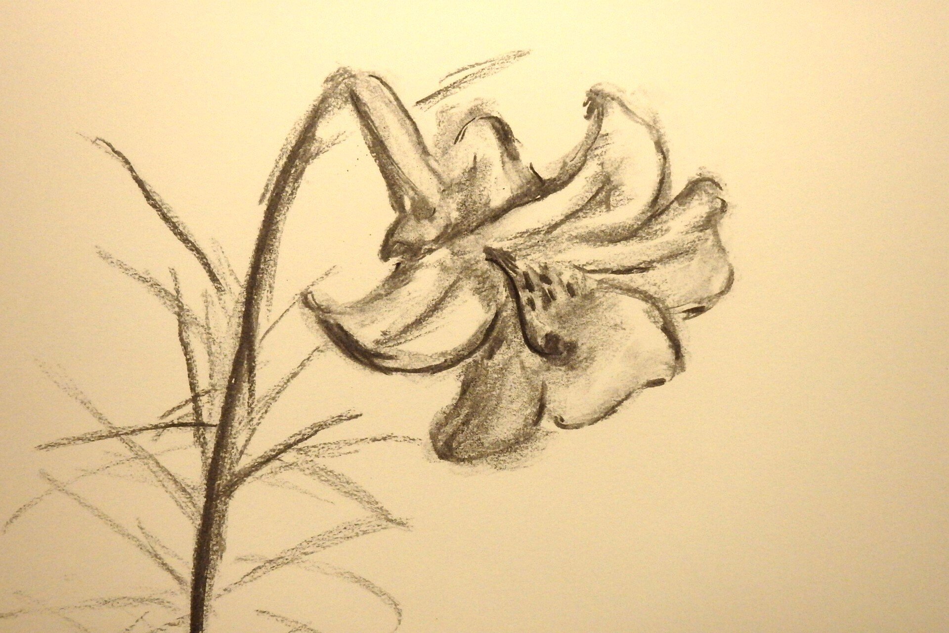 花｜占星術師 HIRO｜note