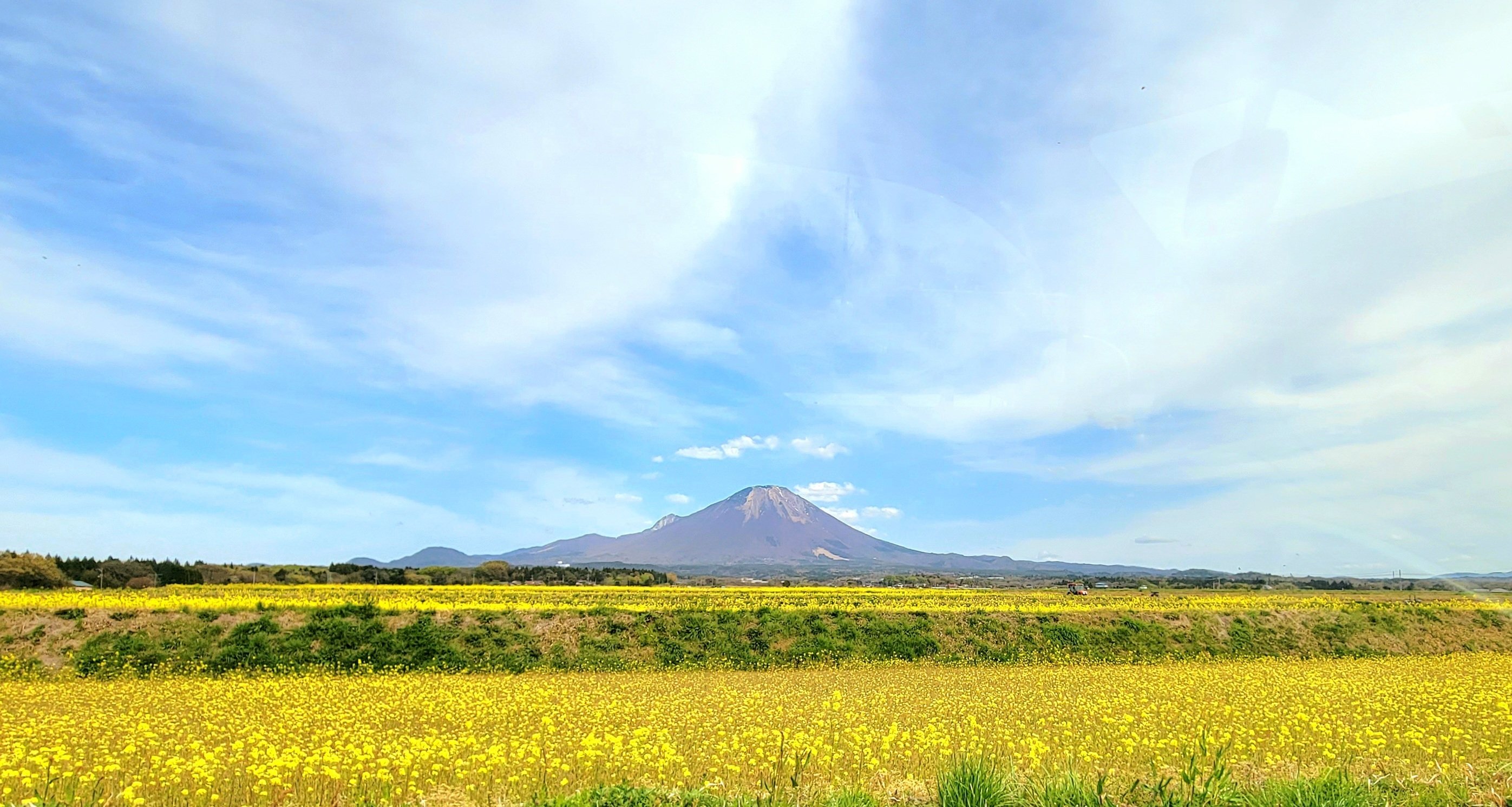 菜の花畑とれんげ畑と大山と🎵｜Eiji Kawahara