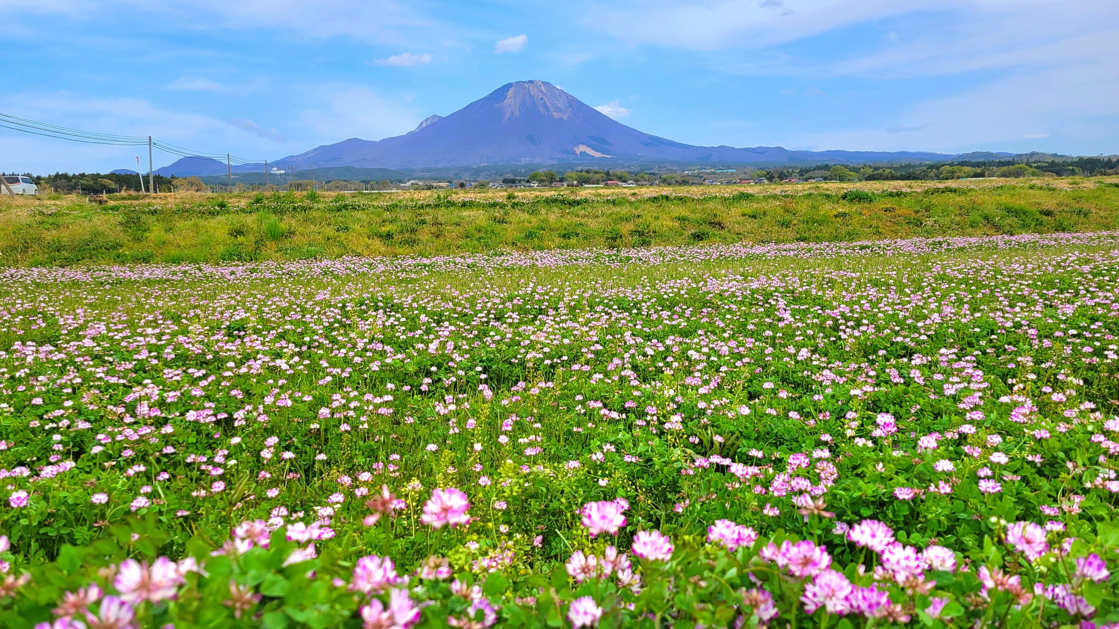 菜の花畑とれんげ畑と大山と🎵｜Eiji Kawahara