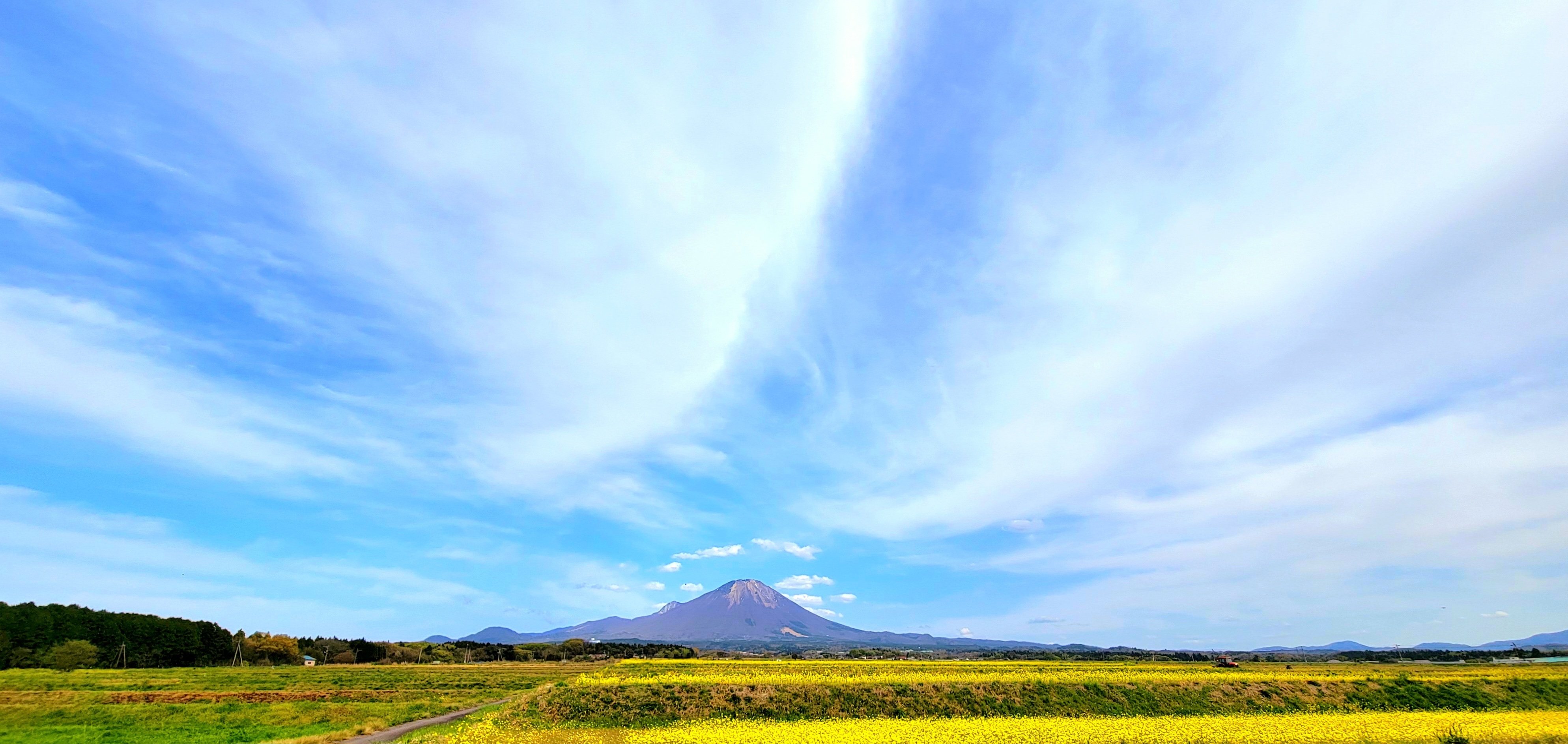 菜の花畑とれんげ畑と大山と🎵｜Eiji Kawahara