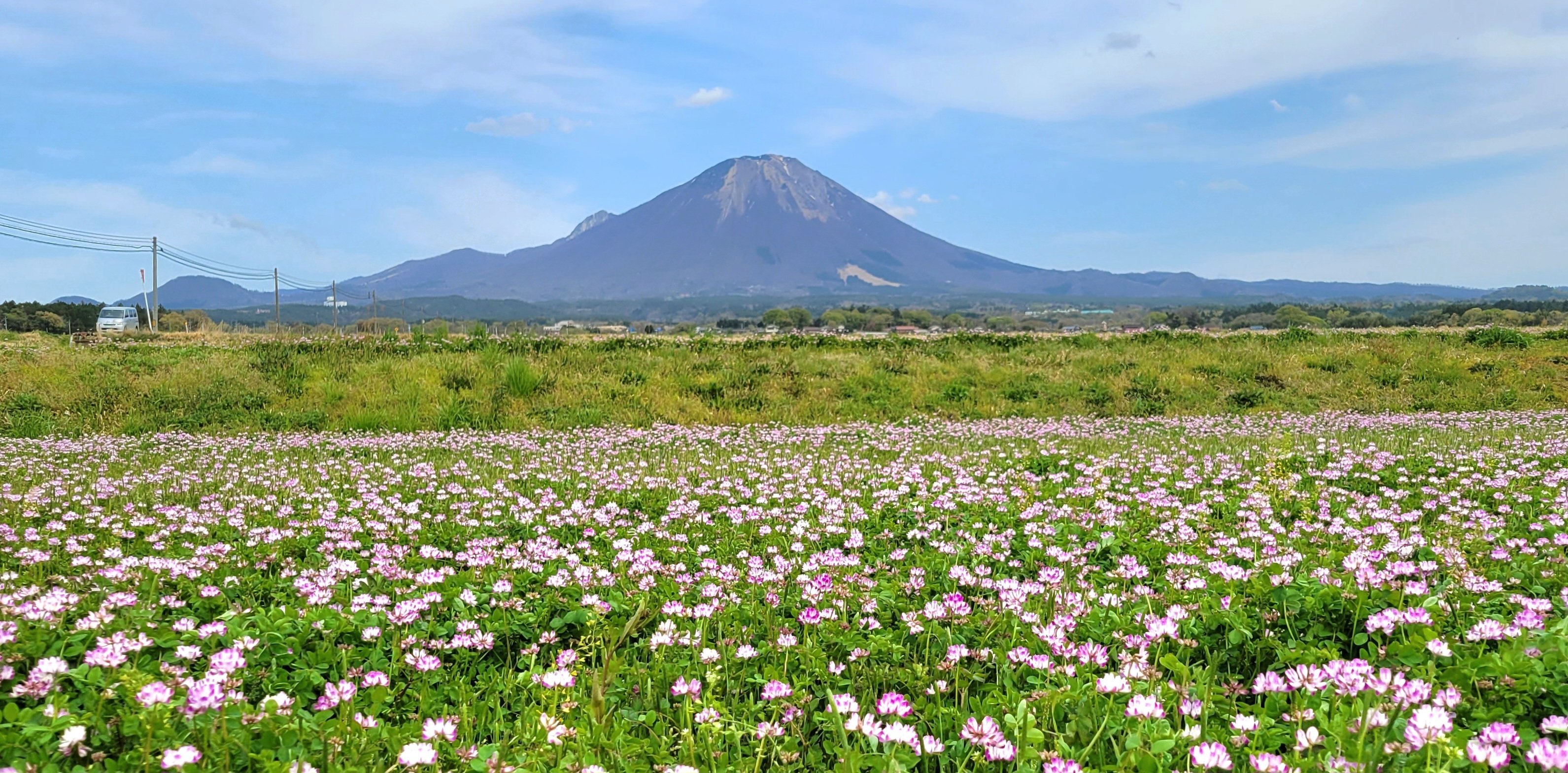 菜の花畑とれんげ畑と大山と🎵｜Eiji Kawahara