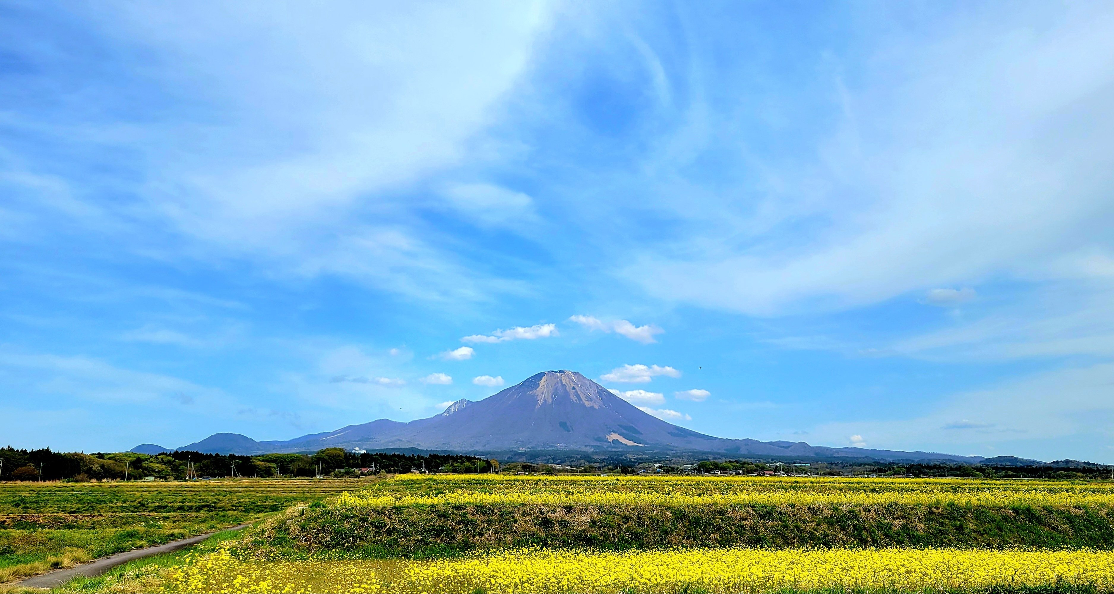 菜の花畑とれんげ畑と大山と🎵｜Eiji Kawahara
