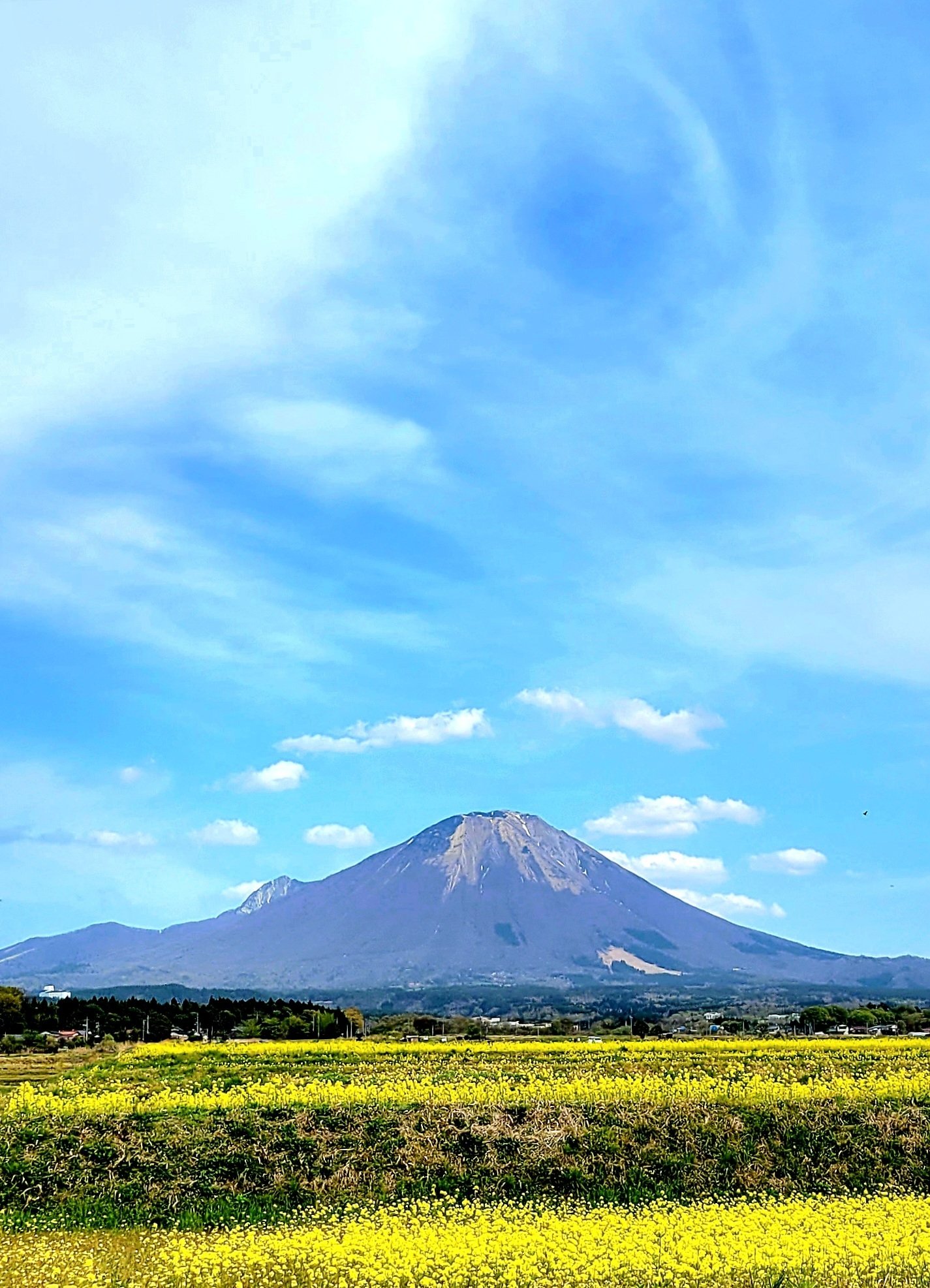菜の花畑とれんげ畑と大山と🎵｜Eiji Kawahara