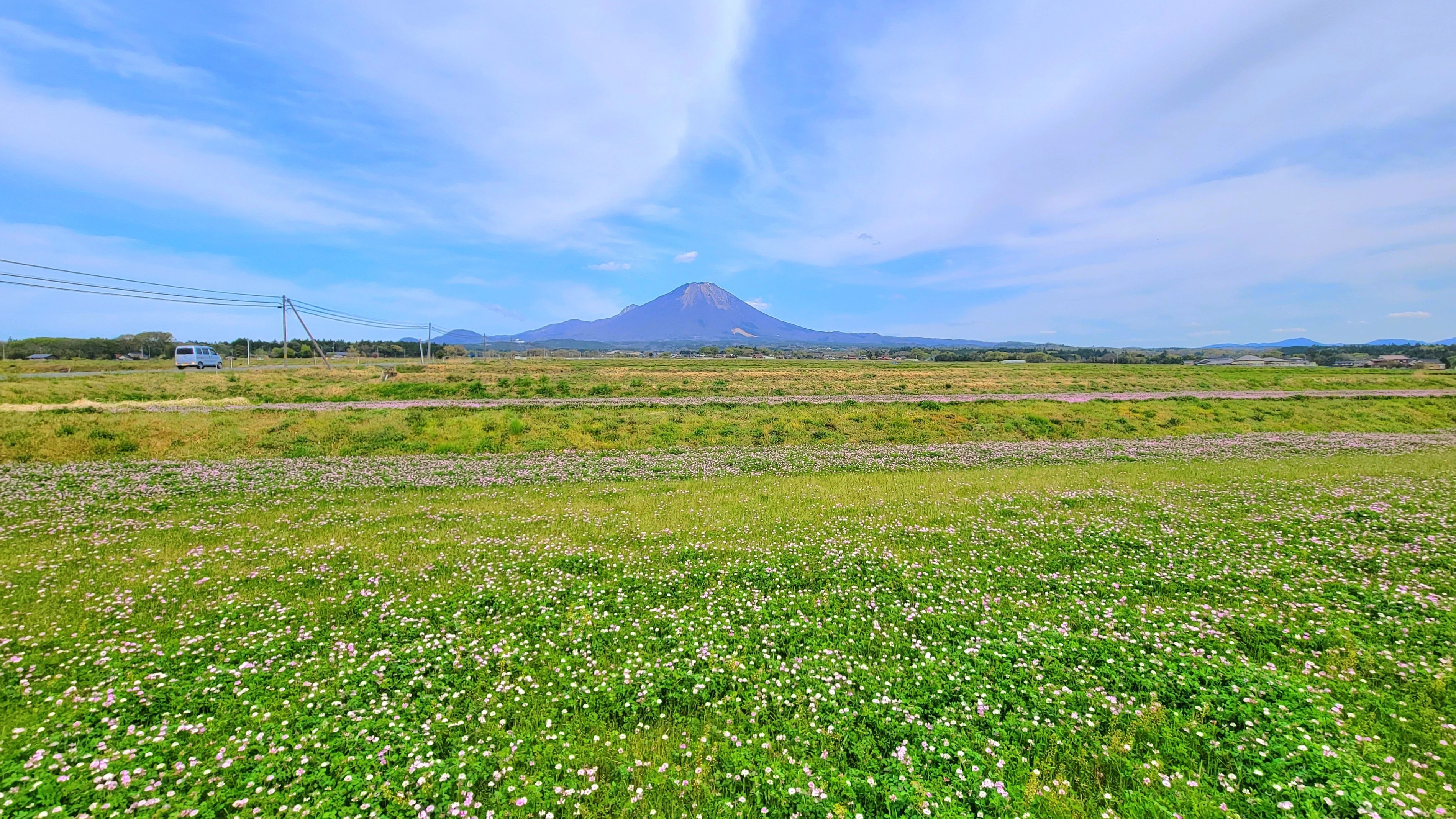 菜の花畑とれんげ畑と大山と🎵｜Eiji Kawahara