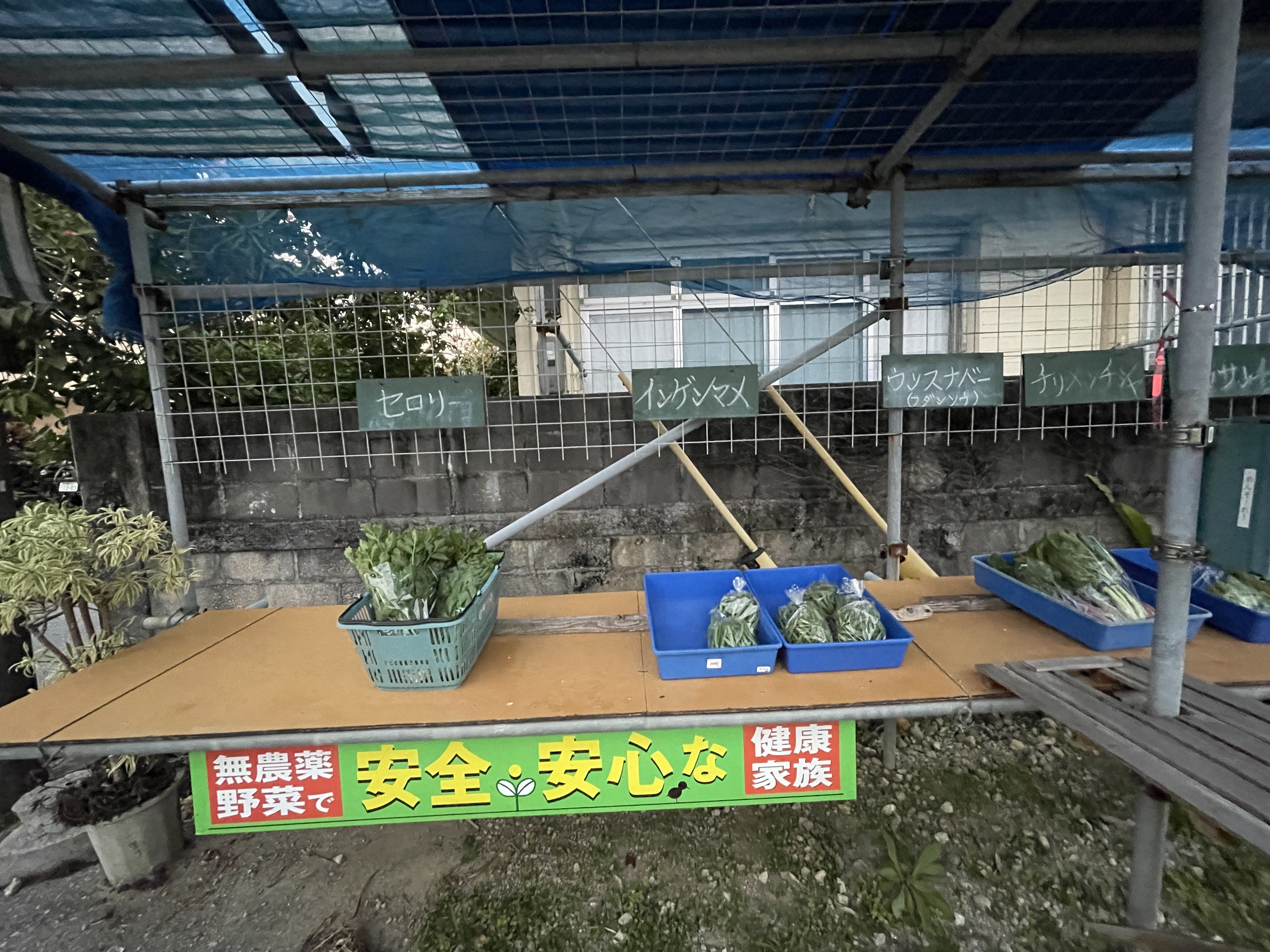 ゥォーキング193日 和仁屋(北中城村)の野菜の無人販売 1束100円均一｜38gi.ryu