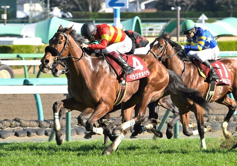 【皐月賞（G1）】～予想篇｜Haya｜note