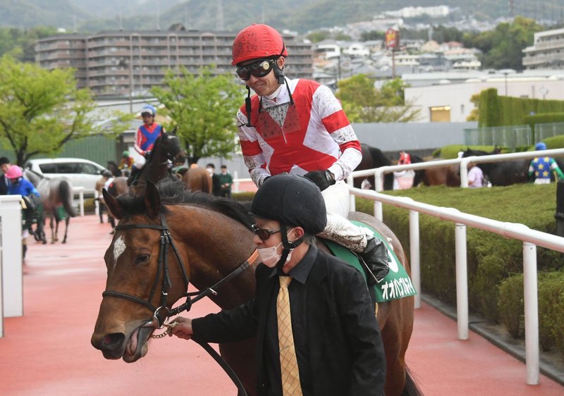 【アーリントンC（G3）回顧】推奨馬ショーモン3着…!!｜Haya｜note