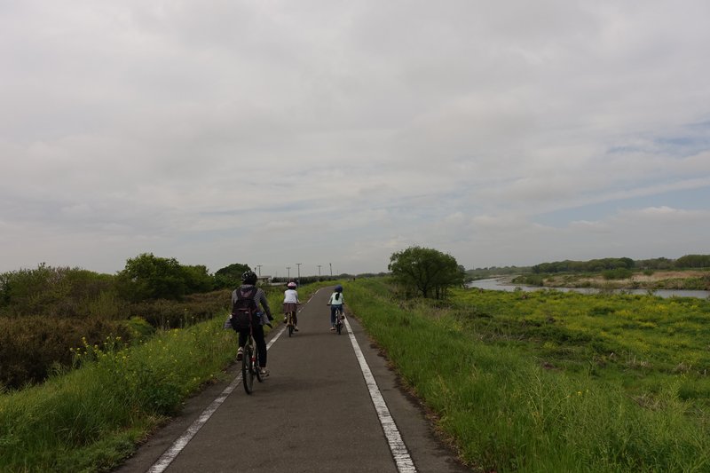 渡良瀬遊水地サイクリング 20230416｜ajisashi ajisashi