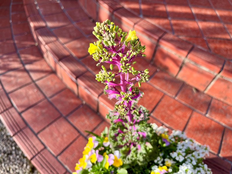 今日の1枚（2023/4/15）｜Chikako｜note