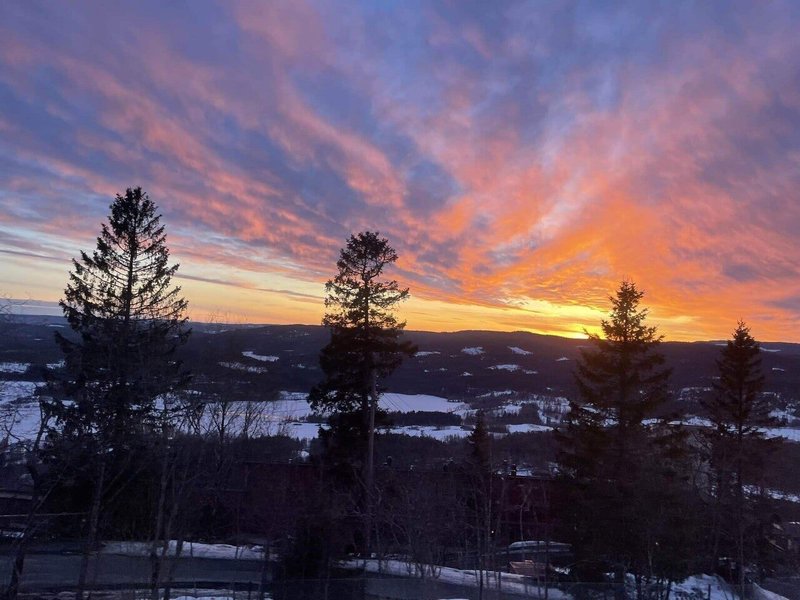 人生初のバックパッカーで、カメラ片手に北欧諸国を旅してみた｜田辺 莞菜 / Kanna Tanabe｜note