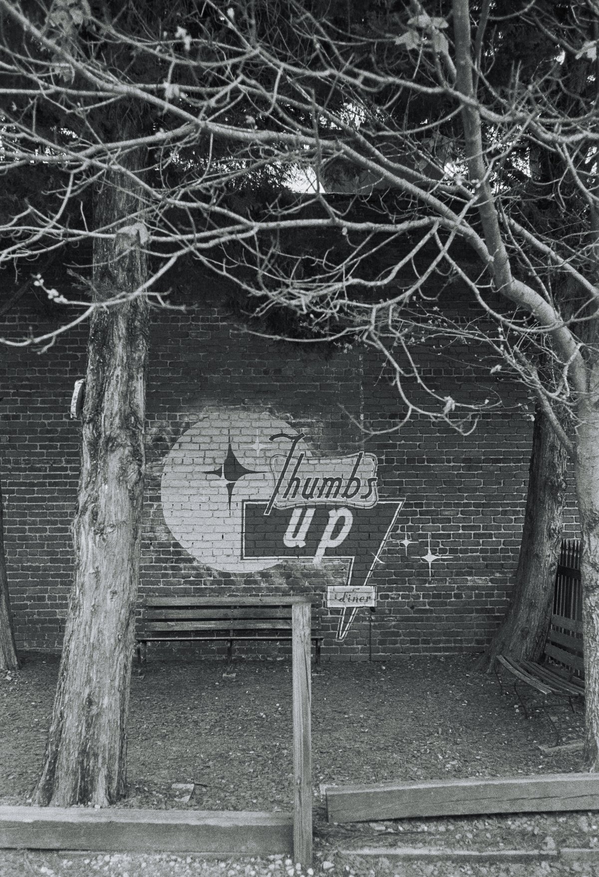 Edgewood AVE ＜週末自家現像＞ ｜MOJA MOJA