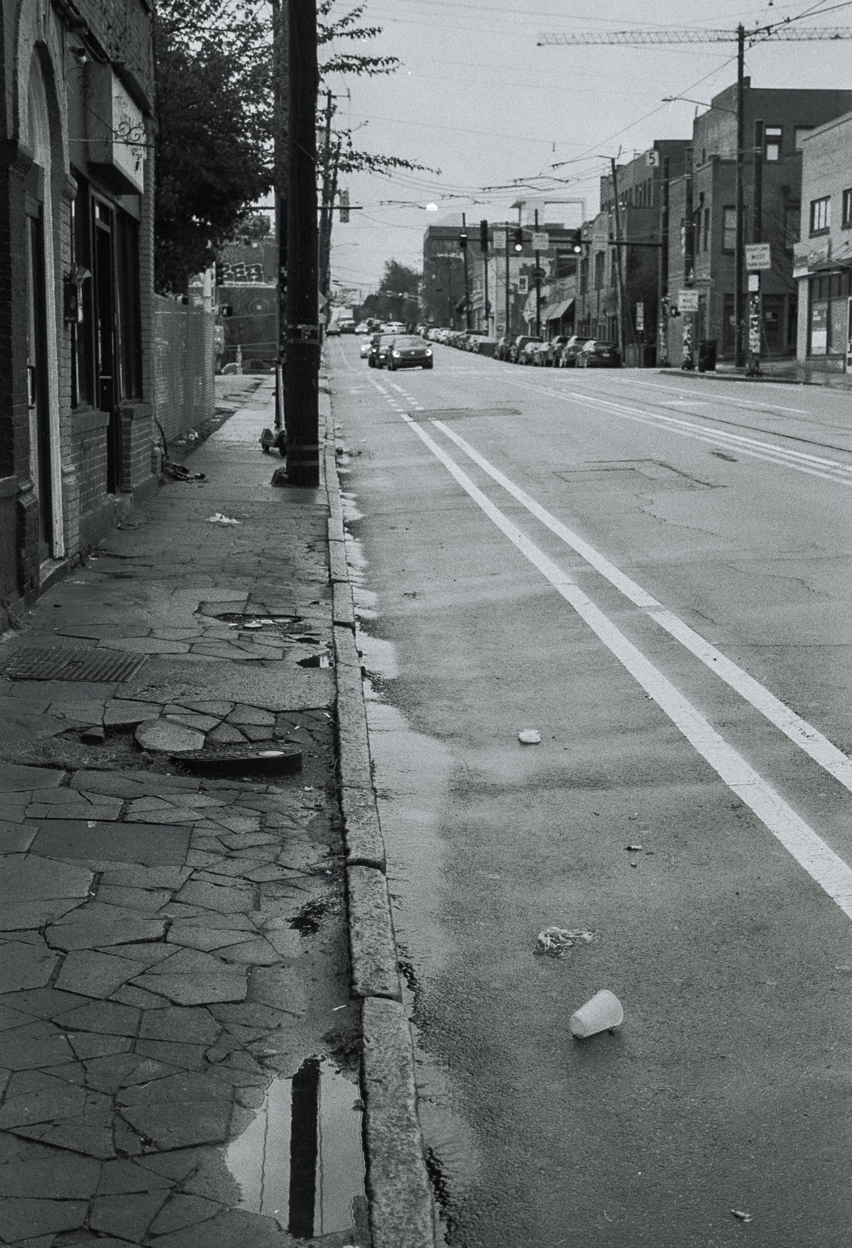 Edgewood AVE ＜週末自家現像＞ ｜MOJA MOJA