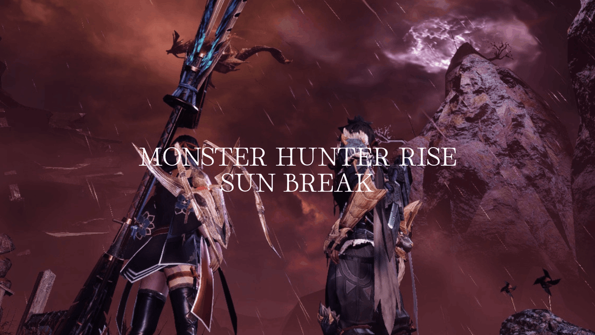 サンブレイクVer.15｜ichi