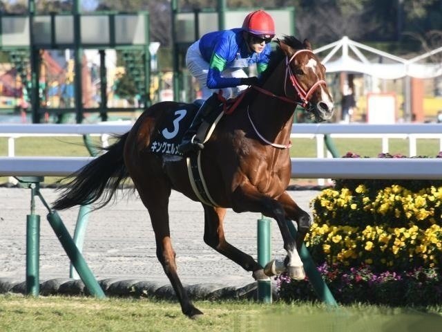 【読売マイラーズC（G2）】～予想篇｜Haya