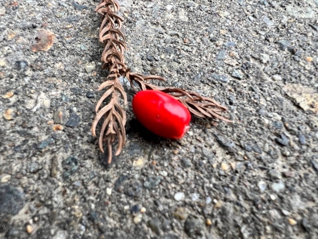 新入生と、歩いてつくる詩。｜Kohei Kamiyama