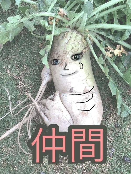 ＃らいらっくぽん ｜akkiy☆