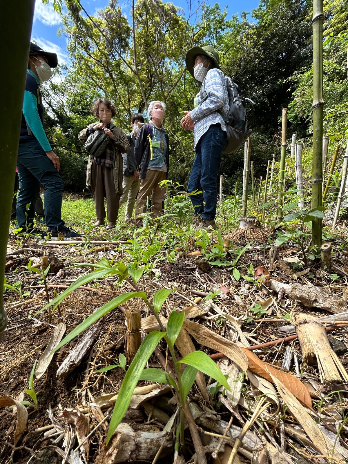 小網代ボランティアウォーク20230416｜柳瀬 博一