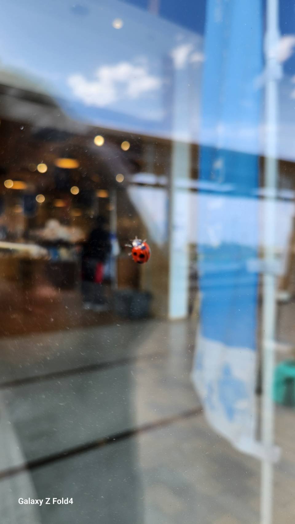 幸運が訪れるかも！！｜Koki Miyamoto｜note