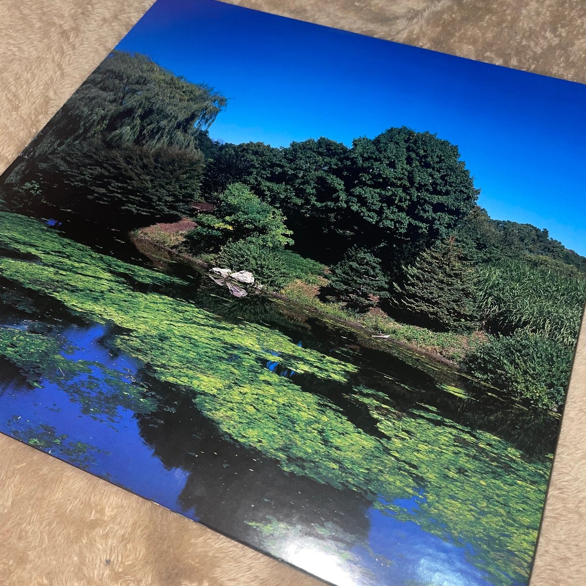 Shellac の『TERRAFORM』を聴いてみた編｜内山 結愛