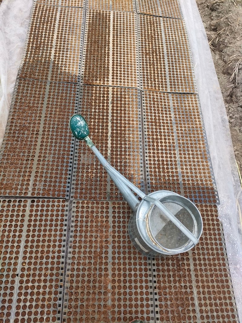 2023年お米の種蒔き4/24日｜shanthi-usui｜note