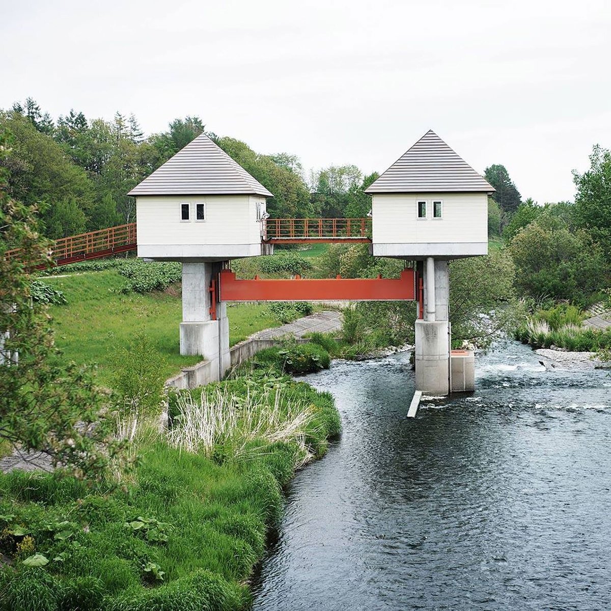 正のルッキズム：Anizine｜ワタナベアニ