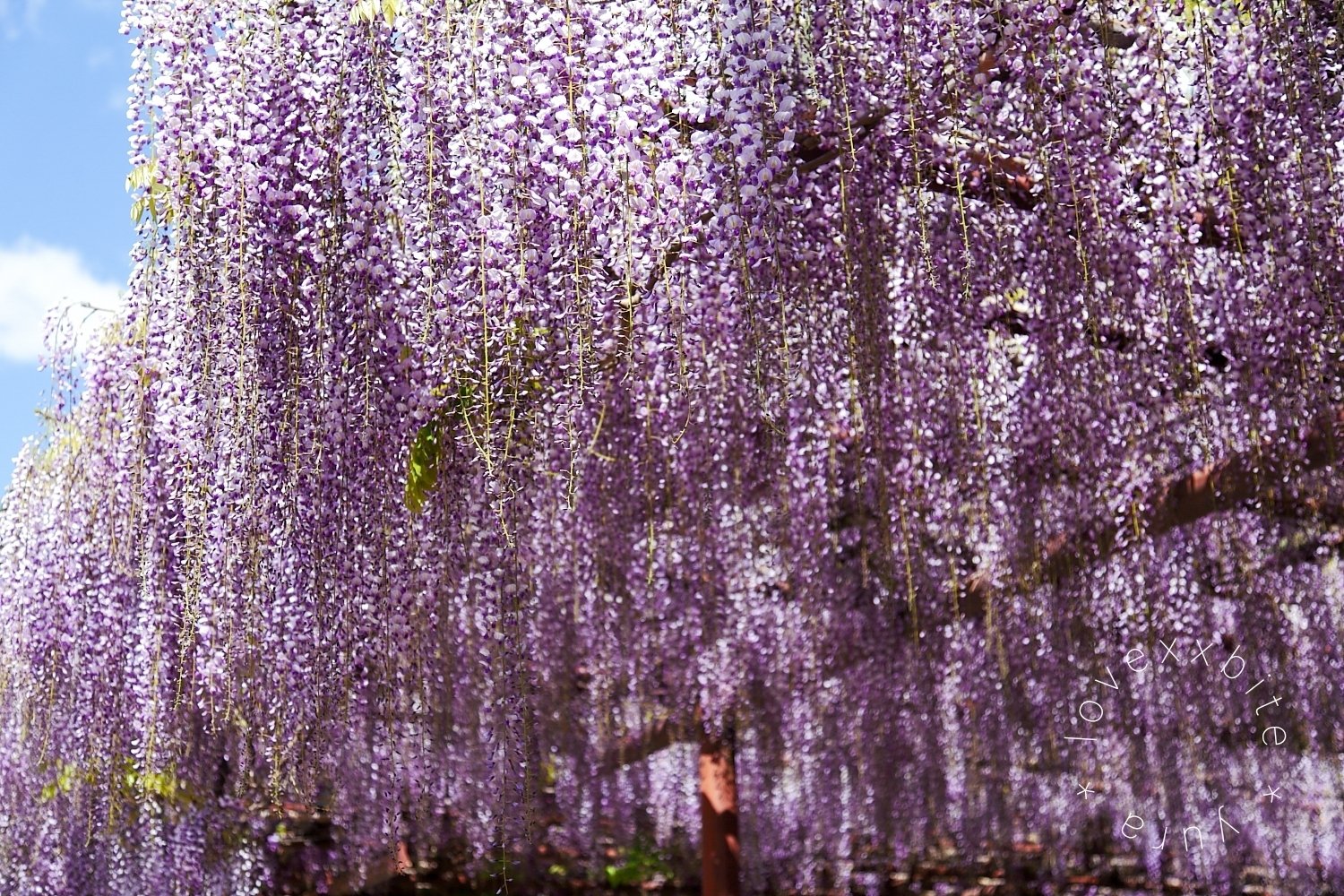 20230426｜yura｜note