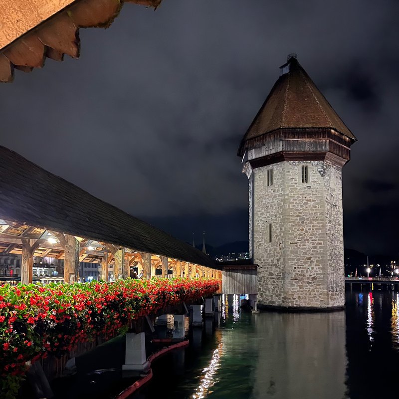 【スイス🇨🇭】 ルツェルン編 旅路録＃4 ｜RYUSEI