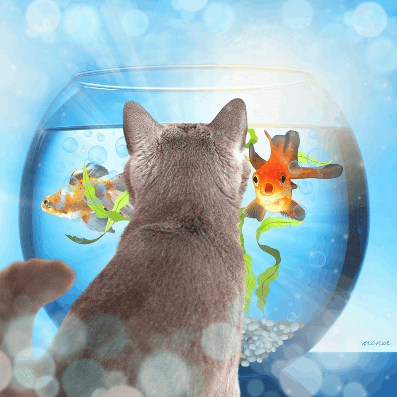 まちがいさがし(29)未知との出会い｜miwa｜note