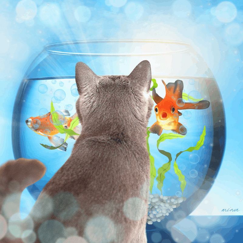 まちがいさがし(29)未知との出会い｜miwa｜note