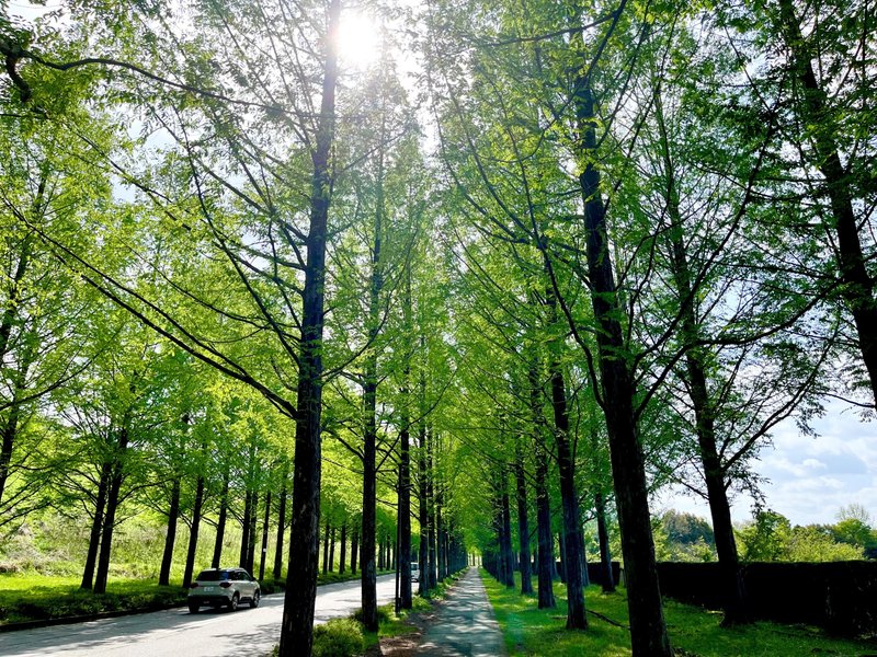 今日の1枚（2023/4/25）｜Chikako｜note