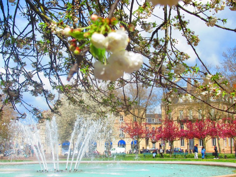 フランス春うらら｜AIKO｜note