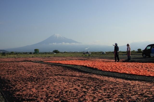 桜海老の天日干し｜tetsu takashi｜note