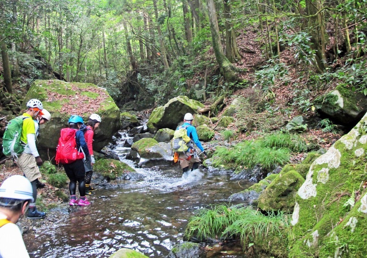 東京のあの「高尾」で沢登り！？（東京都）｜トレッキング倶楽部