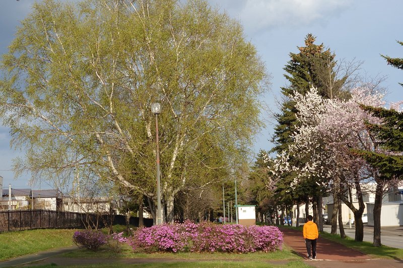 note100日目🎉｜tabito