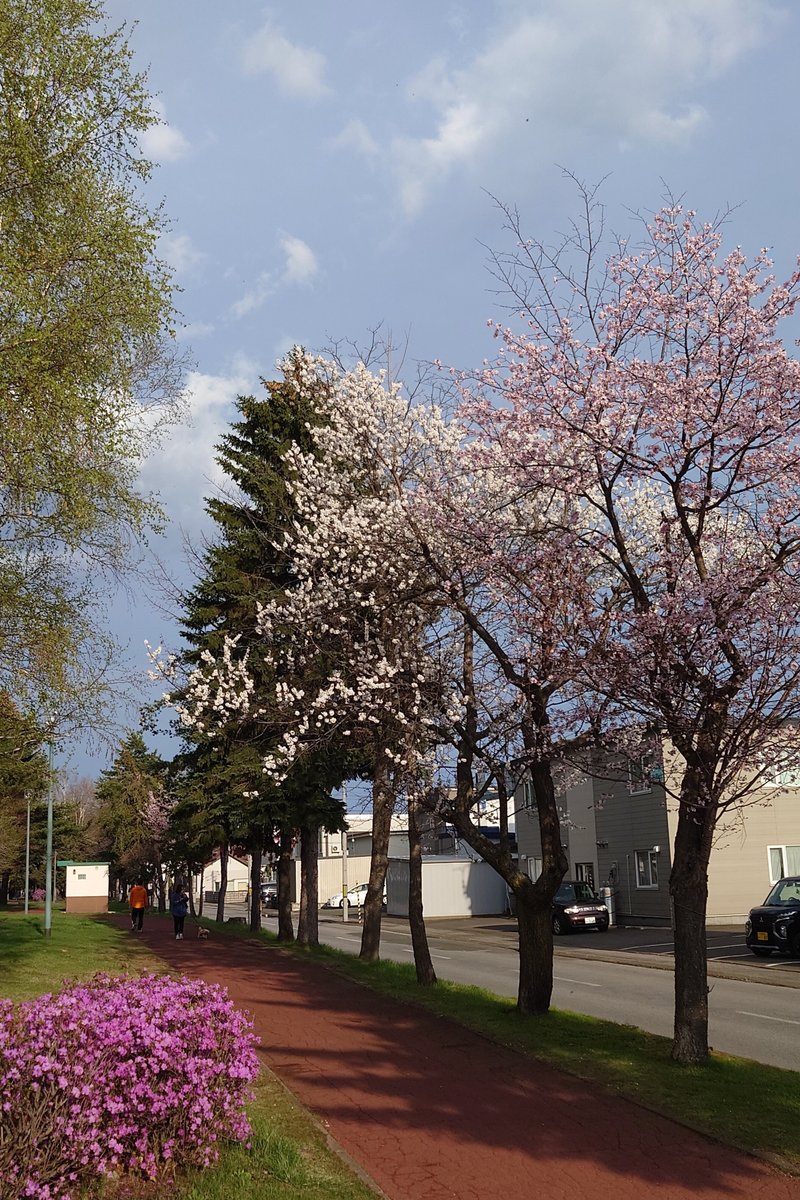 note100日目🎉｜tabito