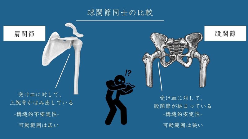 ”スイミング”の徹底解剖｜Synergist lab.