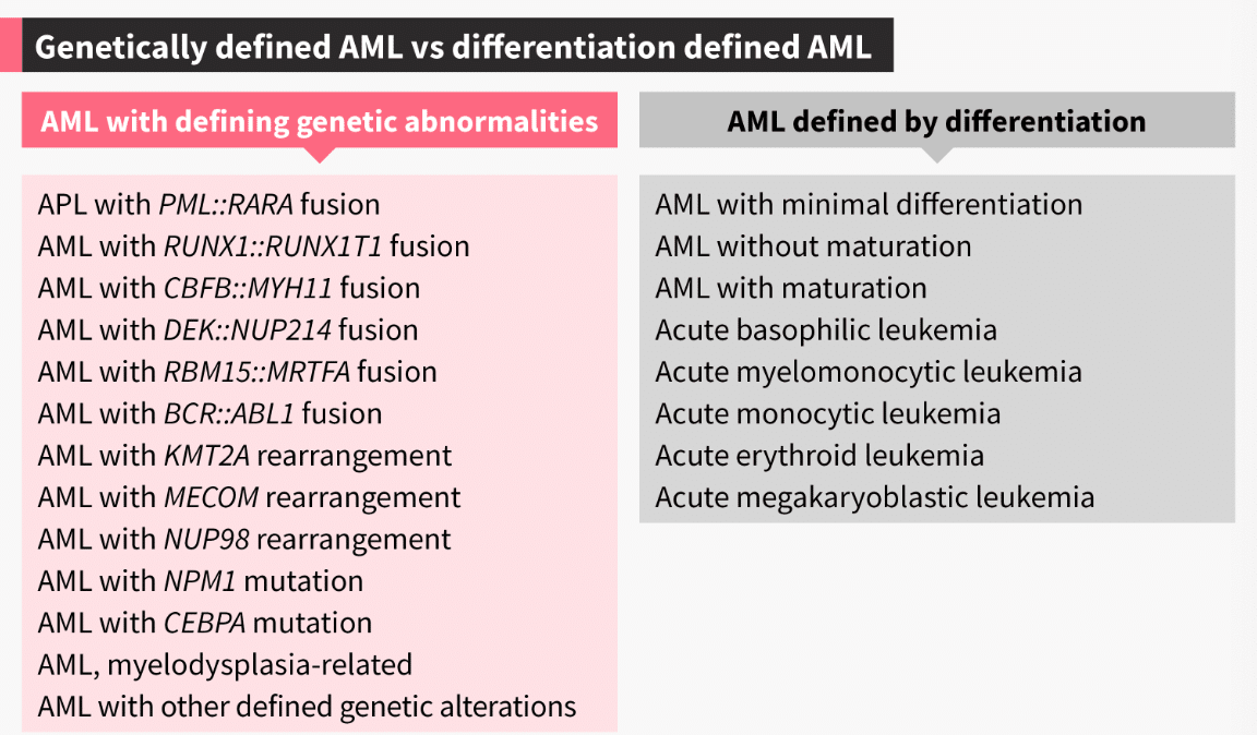 急性骨髄性白血病のWHO分類 5th editionに移行したことによる変更点｜プーさんの絵日記