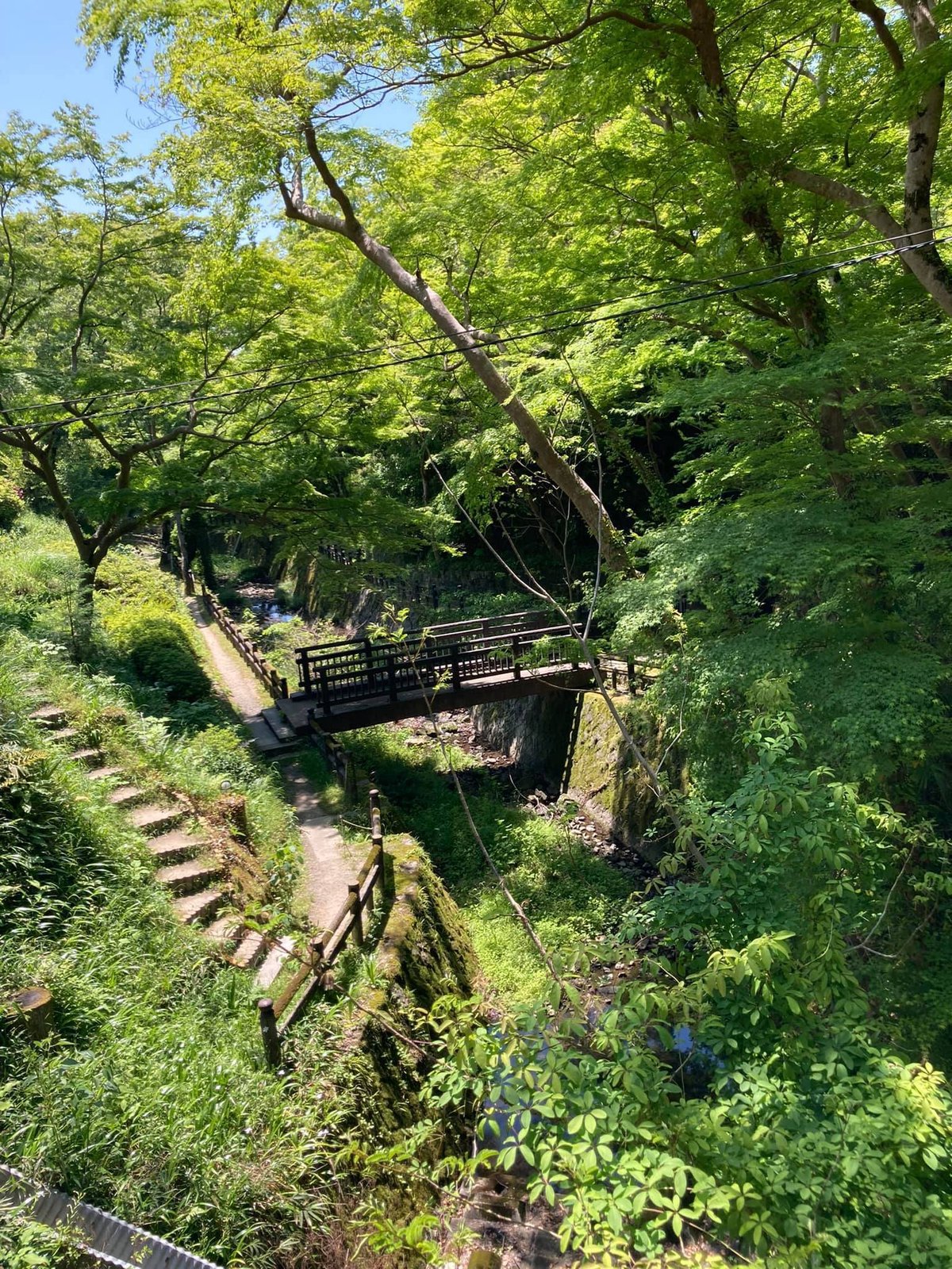 バイク公道デビュー1周年｜味園健治 K.Misono【365日コンサルnote】