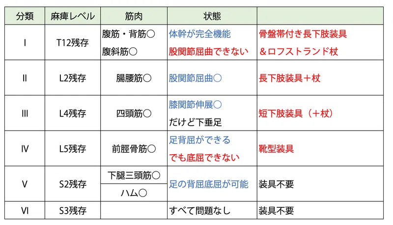 第58回理学療法士国家試験 午後26-30の解説｜Sixty_valleyのページ