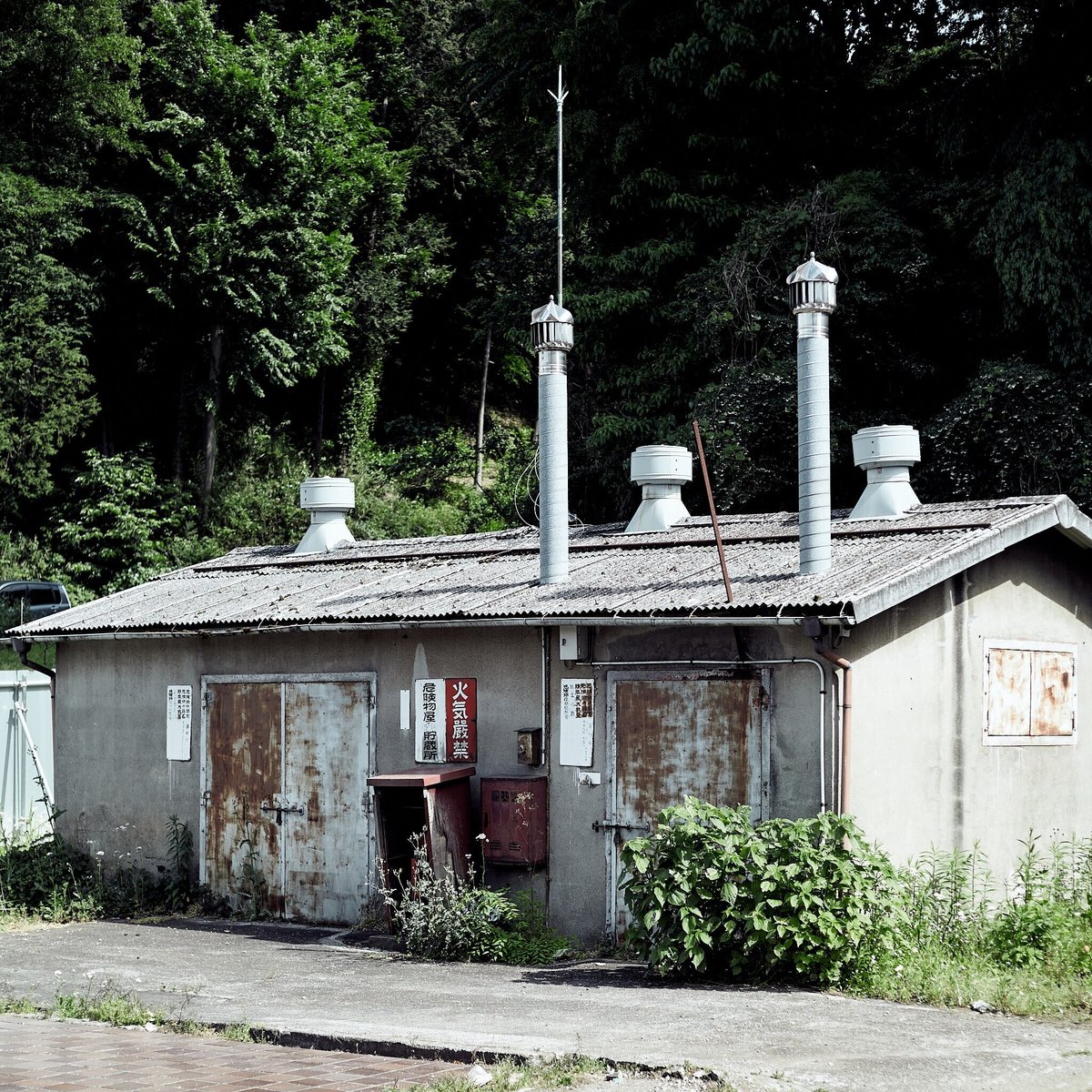 今でも初心者にオススメされるCanon 5D mark2は正直おすすめできない。5D mark2は昔のMORRISやYAMAHAのアコーステックギターに近い存在なのかもしれない。｜ニシハラ シンヤ通信