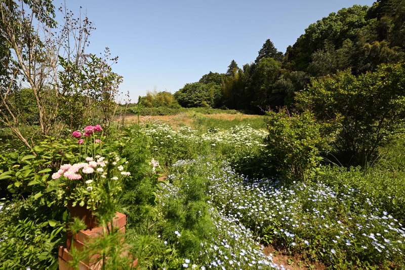 Jardín abierto（オープンガーデン）｜Milla｜note