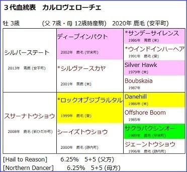 【NHKマイルC（G1）】～予想篇｜Haya
