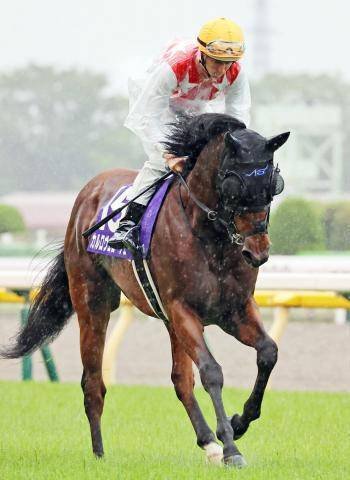 【NHKマイルC（G1）回顧】推奨馬カルロヴェローチェ5着…クソッ!!｜Haya