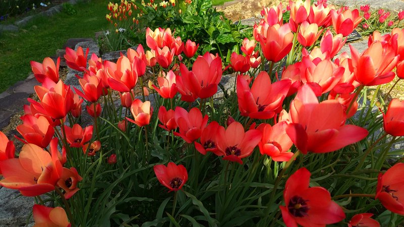 写真加工と元の写真を見てください。｜hiro inoue｜note