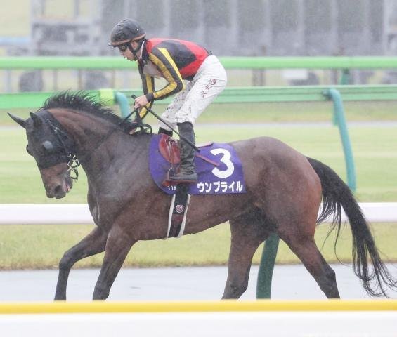 【NHKマイルC（G1）回顧~その先へ】血統篇｜Haya