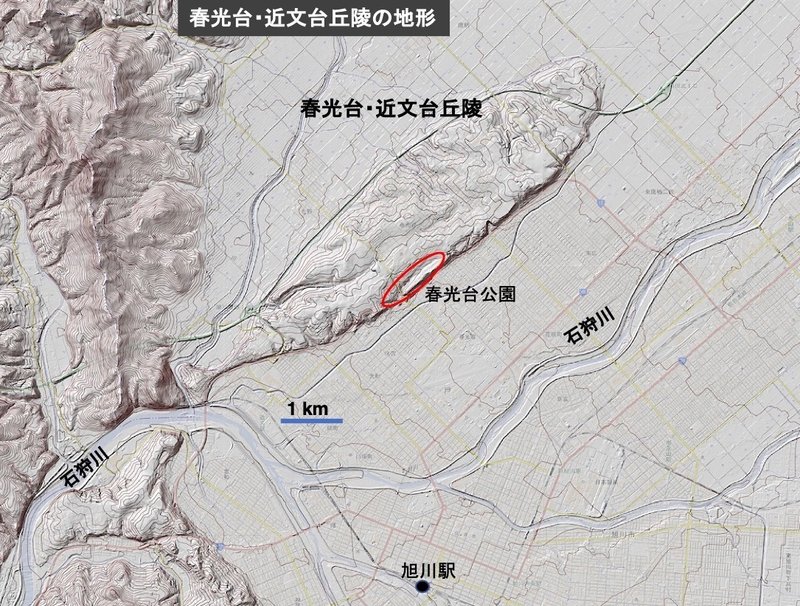 ぶらり春光台公園 2023.4.29 ｜K.Wada